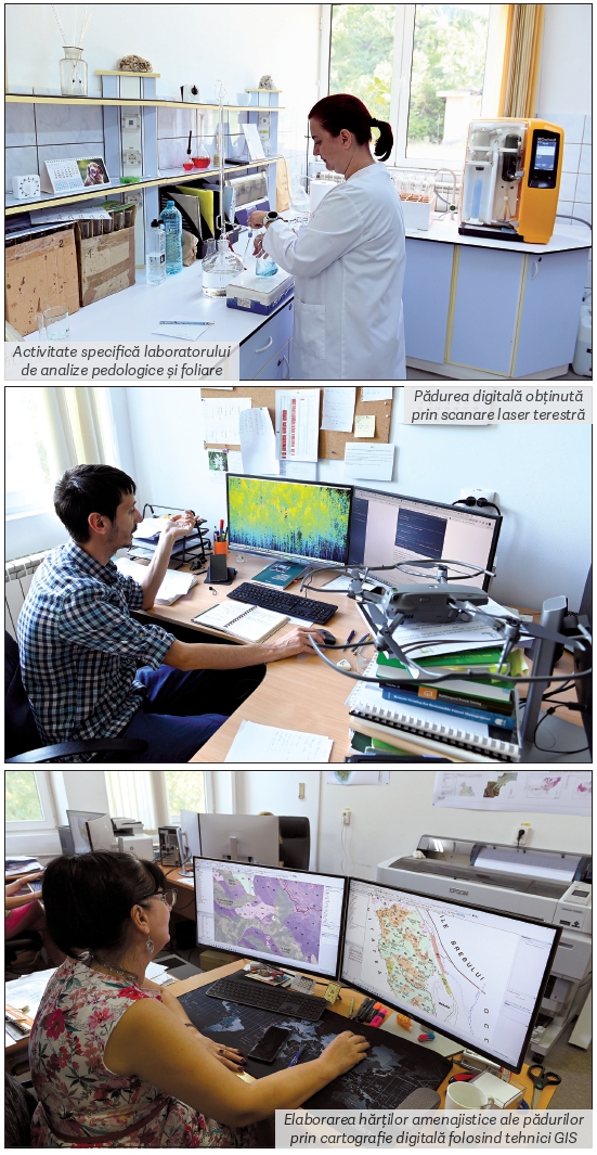 INCDS Marin Dracea 90 de ani de stiinta forestiera de excelenta