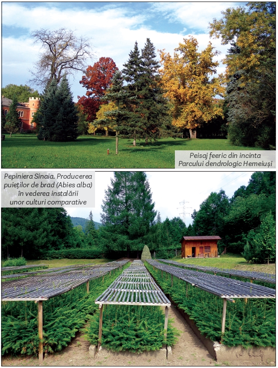 INCDS Marin Dracea 90 de ani de stiinta forestiera de excelenta