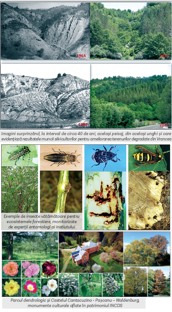 INCDS Marin Dracea 90 de ani de stiinta forestiera de excelenta